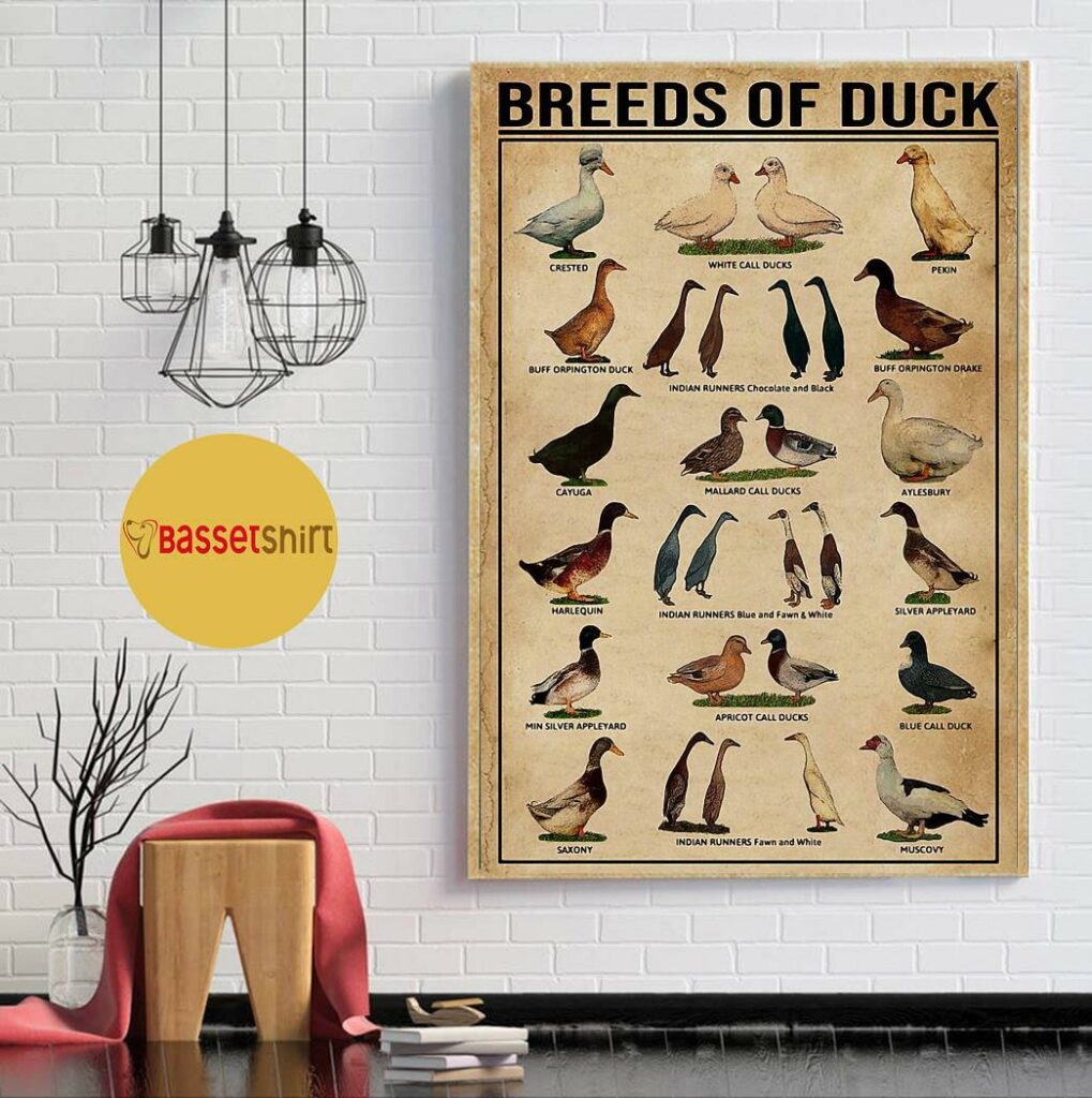 Breeds Of Duck Print Canvas